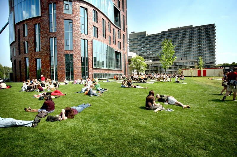 International language school